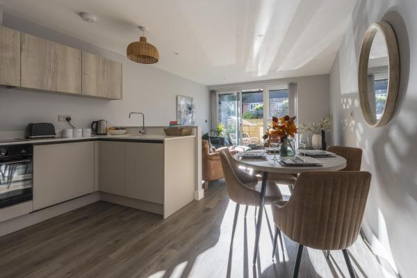 Seashells - Mudeford