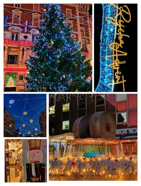 Center Rooms With Terrace - Rijeka