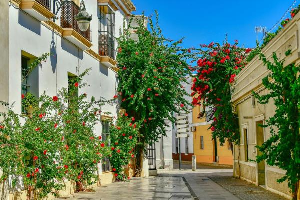 Holiday Homes - Los ÁNgeles De Costa Ballena - Chipiona