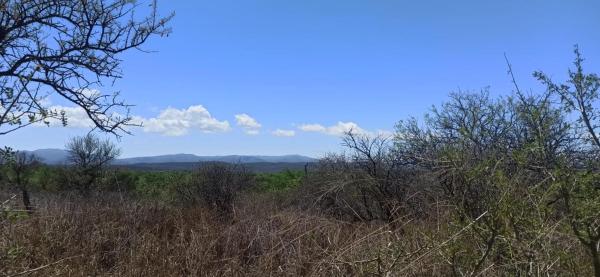 Mambo Paraíso - Cruz del Eje