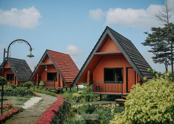 The Kotenang - Wonosobo