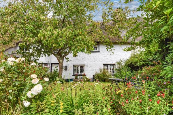 Snowdrop Cottage - Okehampton