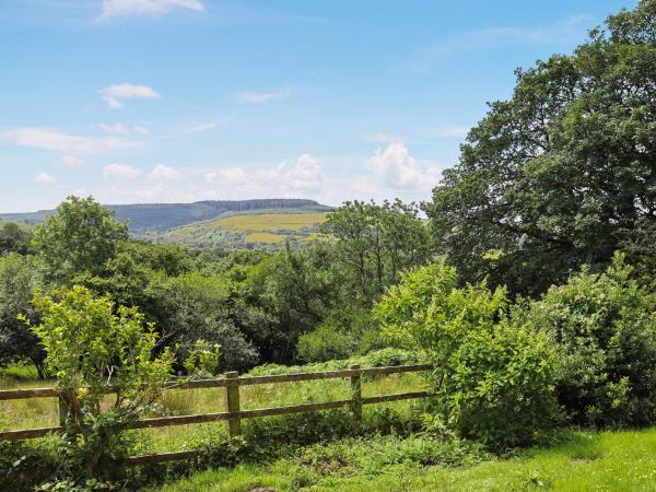 Thatched Cottage - Uk50261 - Lampeter