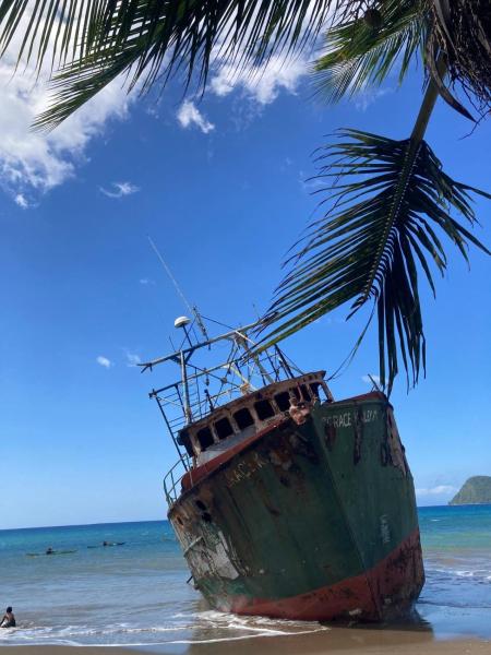 Dominica Seaside Beaches & Attractions Tour - Dominica