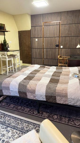 Newly Renovated Studio With Private Entrance - Rotterdam