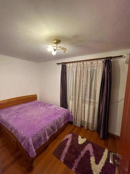 Roxi Apartament - Satu Mare