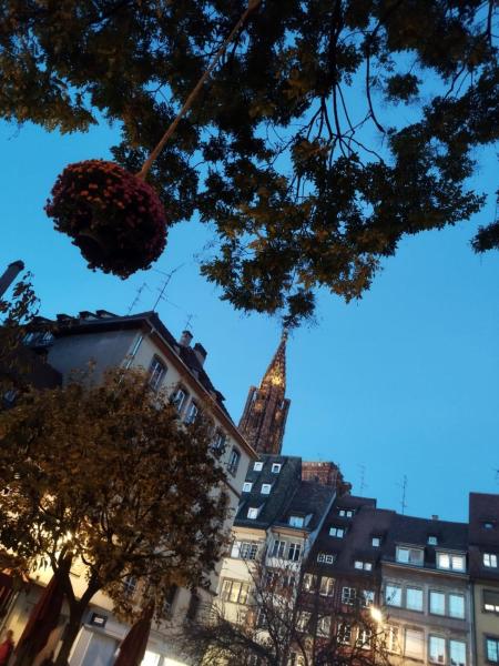 Le Gutenberg Au Coeur Du Marché De Noël De Strasbourg - La Wantzenau