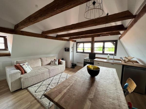 Sous Un Toit De Sélestat - Sélestat