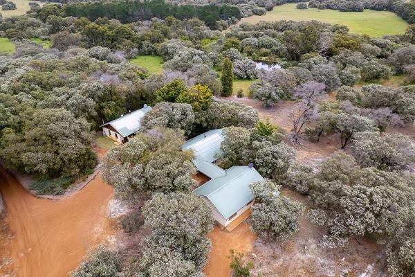 Pimelea - Wyadup Brook Cottages - Yallingup