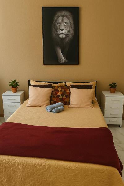 Cozy Studio In The Heart Of Rio And Close To Lapa - Rio de Janeiro