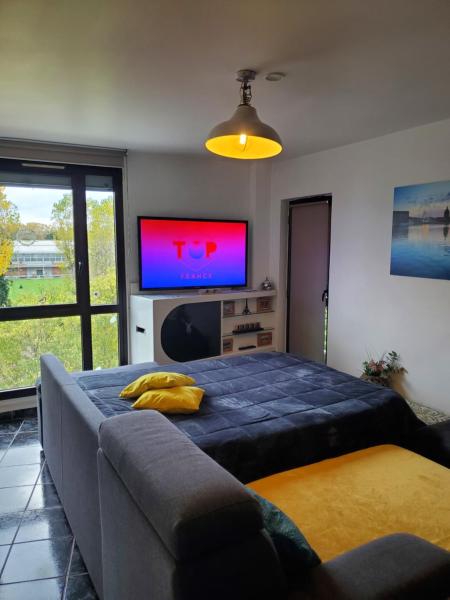 Appartement Cosy Entièrement éQuipé - Blagnac