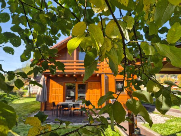 Le Chalet De La Chouille - Vosges