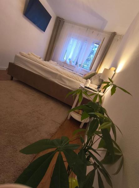 Bica's Place - Sibiu