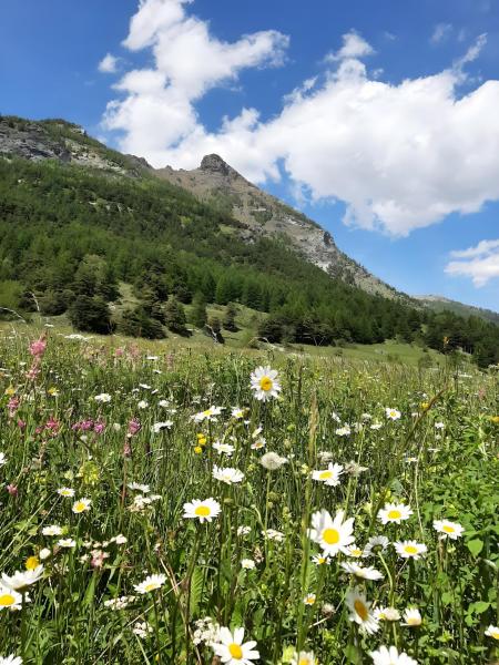 Le Nid Des Rouges Gorges - Valle d'Aosta