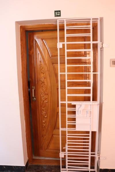 Green Carpet Tulip - 清奈