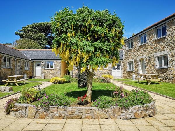 Willow - 31287 - Redruth