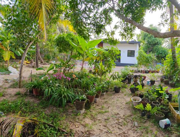 Gripzy Hideaway - 特拉凡德倫