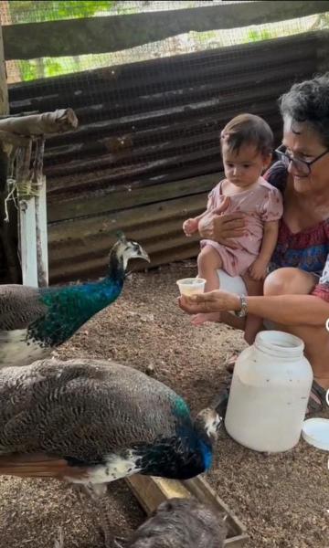 El Spot Orgánico - Costa Rica