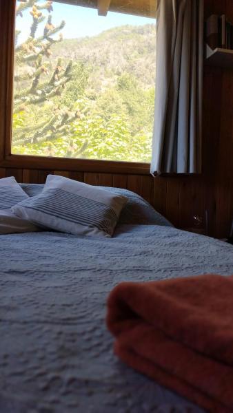 Centro Luminoso - San Martin de los Andes