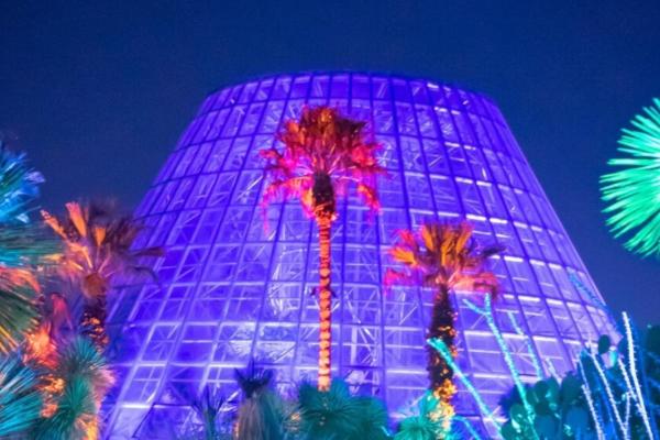 Peaceful Serene Great Location And Amenities - San Antonio