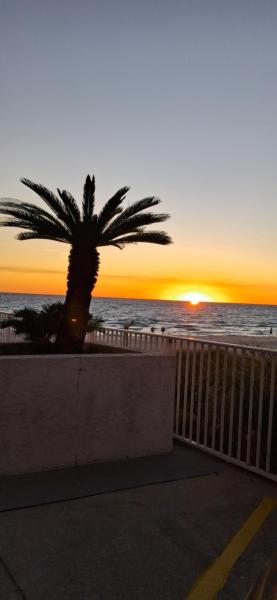 Couples Getaway, Honeymoon Sweet, Perfectly Cozy Beach Front Condo With Kitchen, Pool, Free Parking,check-in At Door - Florida