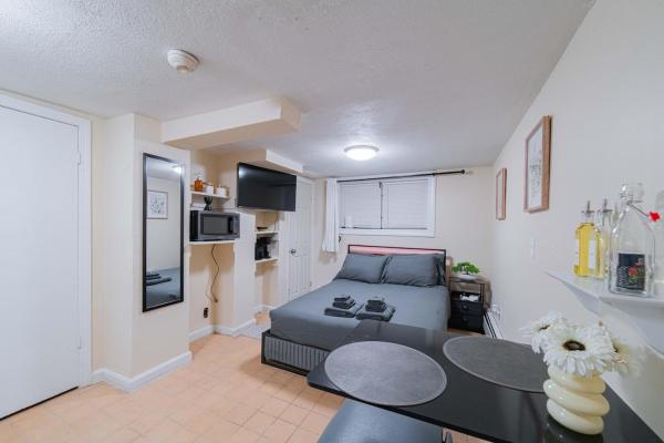 Cozy Basement - Steps To Longwood And Massart - 3min Walk To T - Belmont, MA