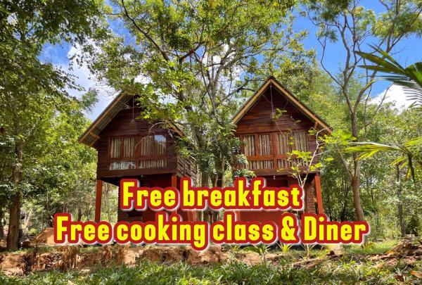 Mango Tree Villa - Sri Lanka