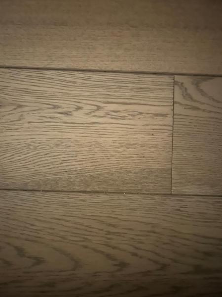 Le Nid Douillet - Pepinster