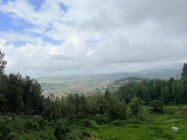 Bloom Hill Ooty - Ooty