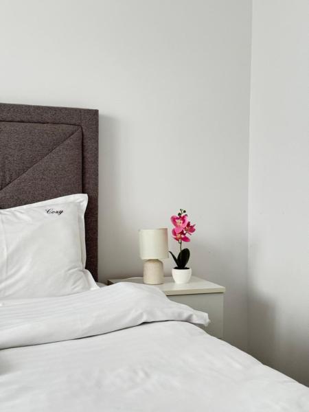 Cozy Premium Palas Mall Apartments - City Center Iasi - Iași