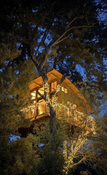 Casa Del ÁRbol Sesquile - Nemocón