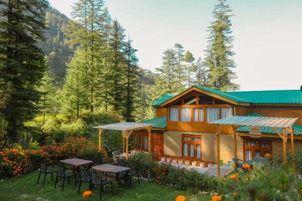 Shasha - Paused Perfect - Jibhi