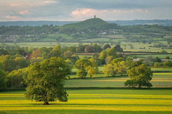 Countryside Retreat 5 Minutes To Glastonbury And 10 Minutes To Wells - Dorset