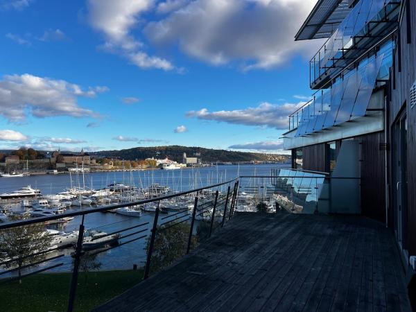 Central Apartment With Panoramic Terrace - Oslo