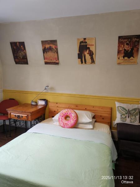 Ottawa University Center Near Train Station & Parliament - Ottawa