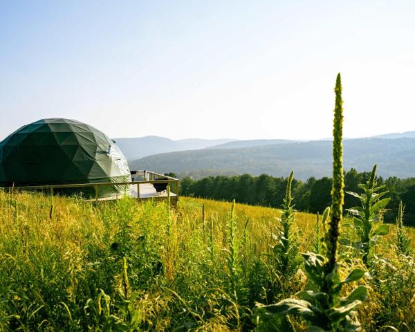 Catskills Glamping At 'The Deer Dome' In Franklin - Oneonta, NY
