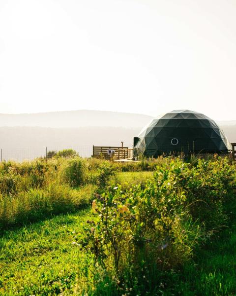'The Bear Dome' With Barrel Hot Tub In Franklin - Oneonta, NY