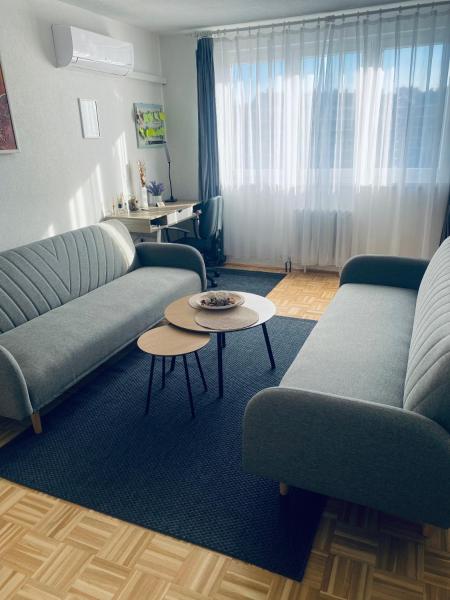 Apartment Etna! Near To Airport - Sarajevo