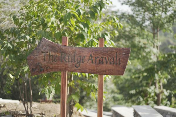 The Ridge Aravali -