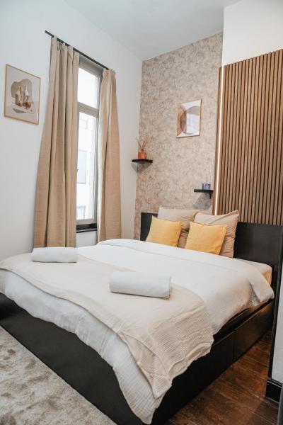 Comfy & Cozy 5br Apartment In The Heart Of Ghent - Gand