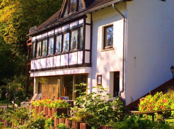 Ferienwohnung Chalet Wiedfluh In Waldbreitbach - Bad Honnef