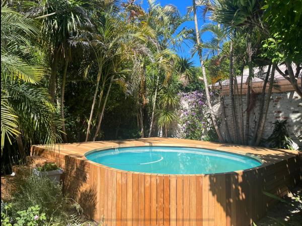 Catlovers Christmas - Cape Town