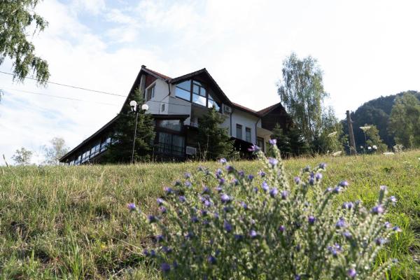 Pensiunea La Radu - Transylvania