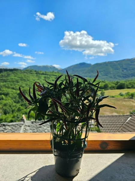 Esperia Holiday House - Campitello Matese