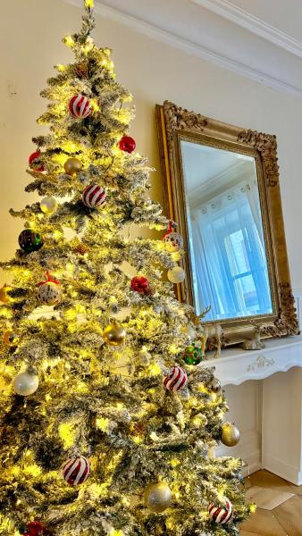 La Villa Alma Colmar - Parc de Schoppenwihr