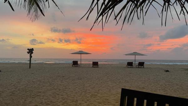 Coconut Beach - Bentota