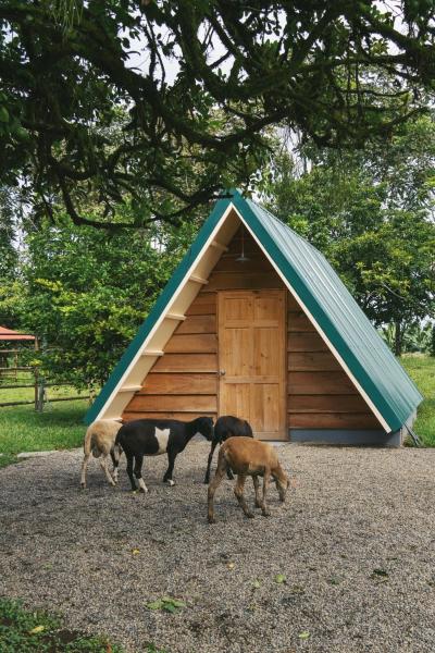 Musasana Wellness Farm - Costa Rica