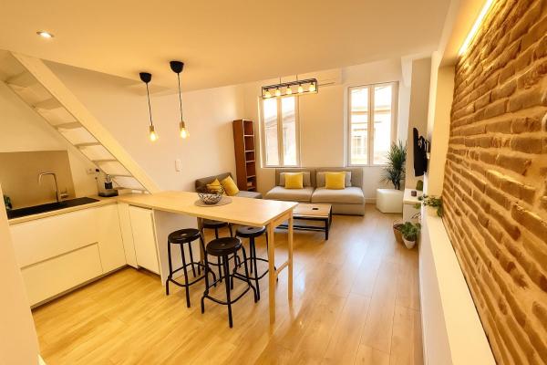 La Daurade - Garonne - Calme - Capitole - Le Zénith Toulouse Métropole