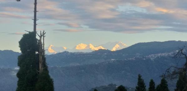 Saaby Homestay - China