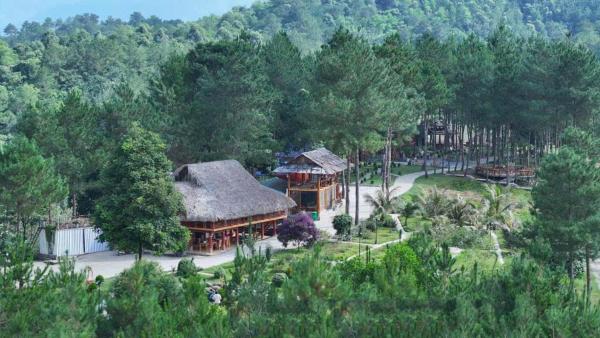 Than Uyên Pineforest Homestay - Tỉnh Yên Bái